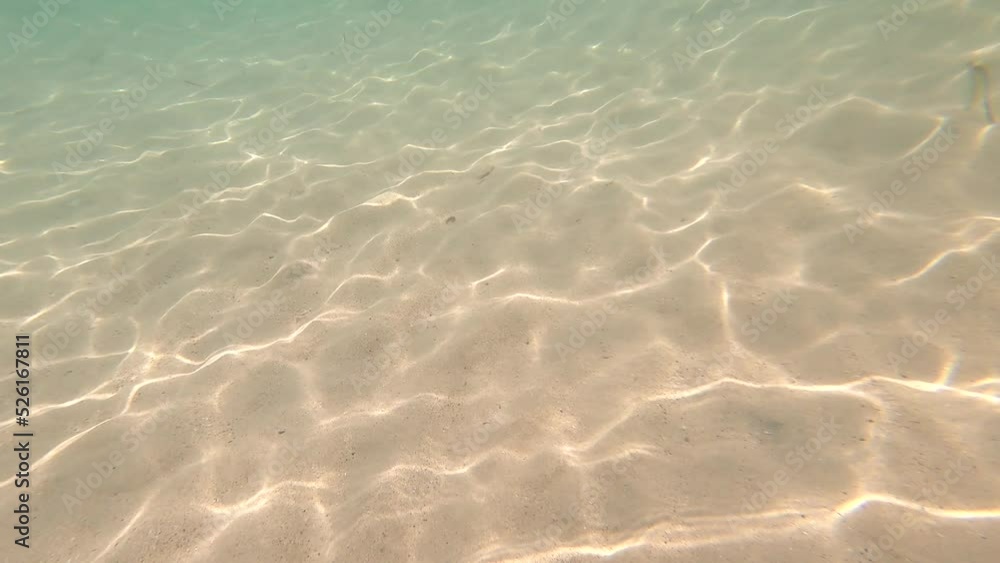 Water surface texture, clean swimming ripples and wave, Refraction of ...