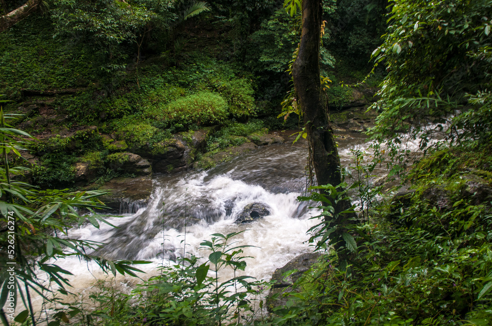 Mawlynnong, a village in the East Khasi Hills district of the Meghalaya ...