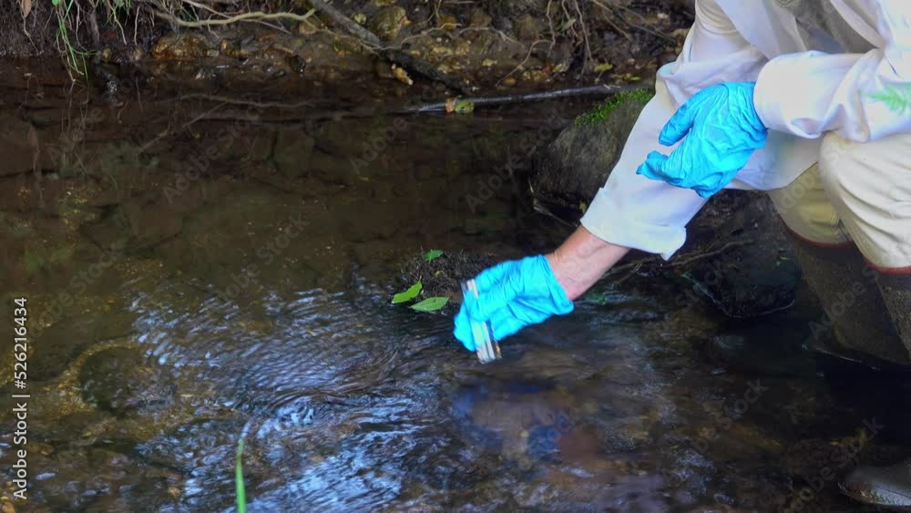 Taking a water sample from a stream into a test tube for pollution ...