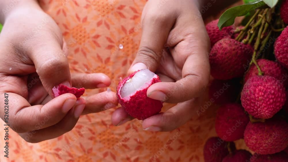 A young girl's hand tries to peel a lychee fruit. Girl eating fresh ...