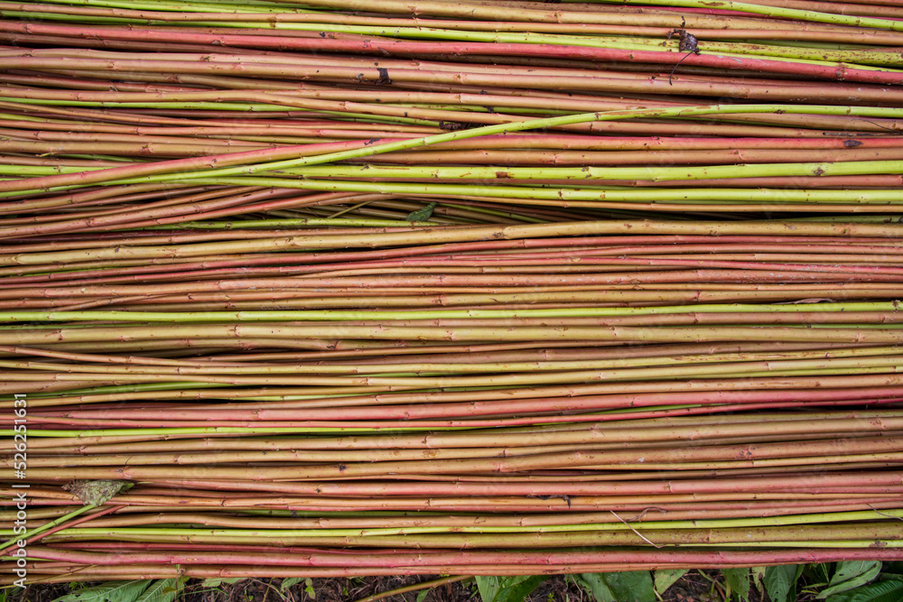 Red Green Raw Jute Texture background. This is the Called Golden Fiber ...