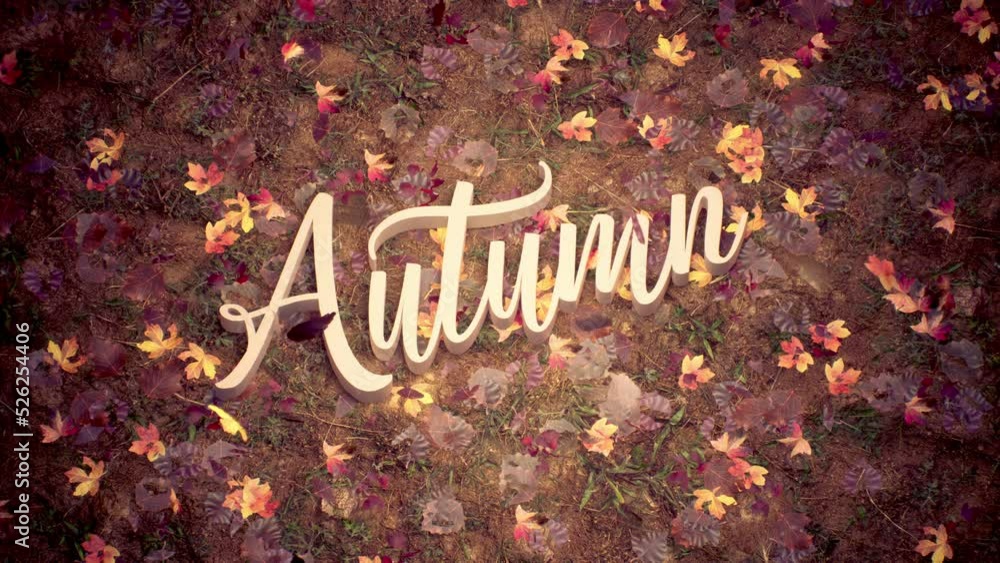 Autumn Design Concept with Falling Leaves for Web and Media - 3D ...