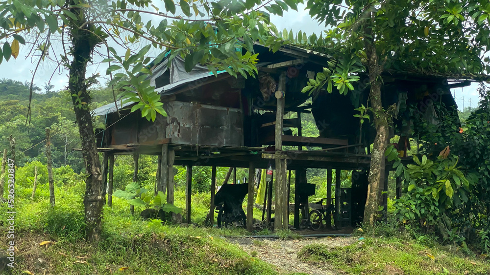 Colombian indigenous reserve, huts in the middle of the jungle Stock ...