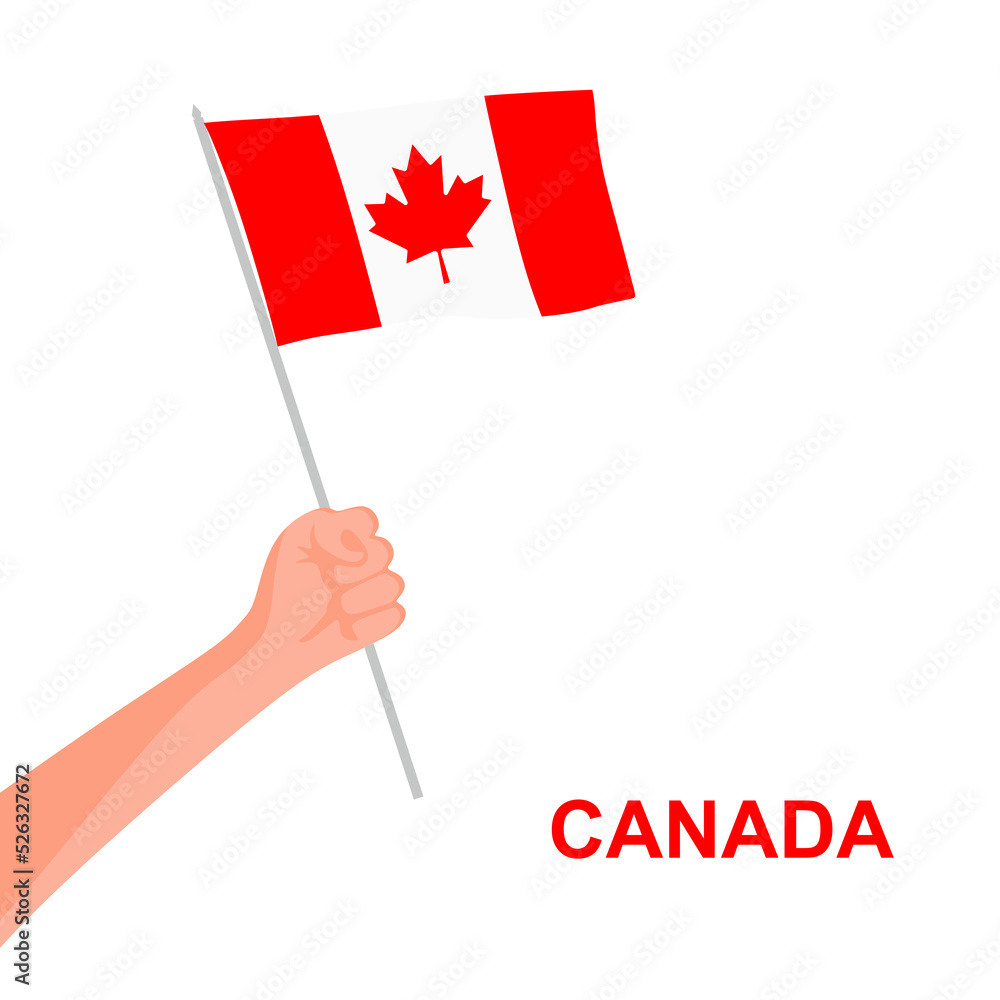 The hand holds the flag of Canada. Flag of Canada in hand on a white ...