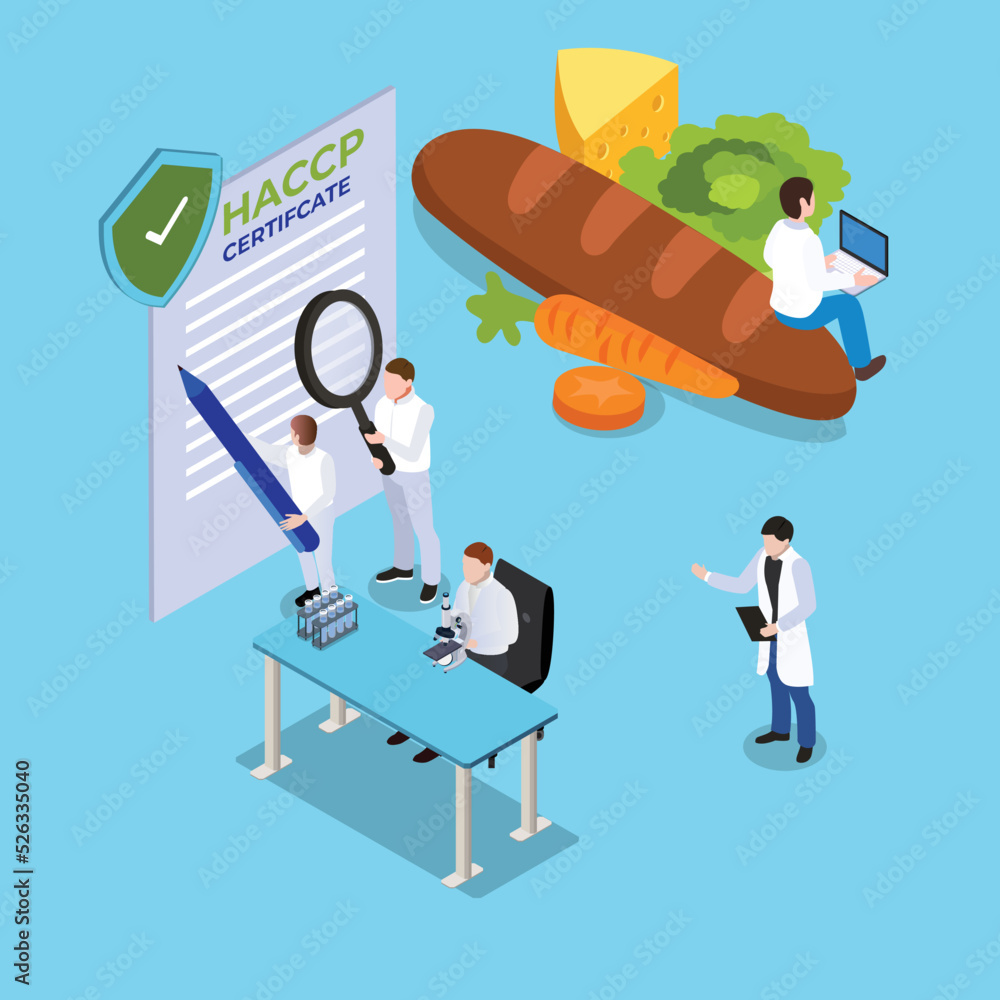 Haccp Hazard Analysis and Critical Control Point isometric 3d vector ...