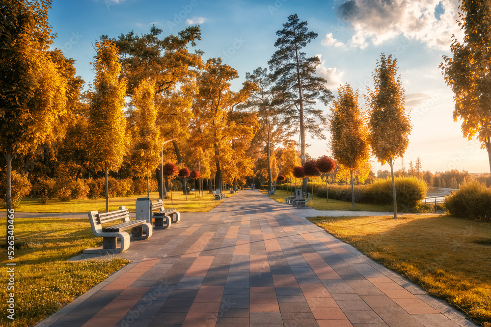 Beautiful Park With People