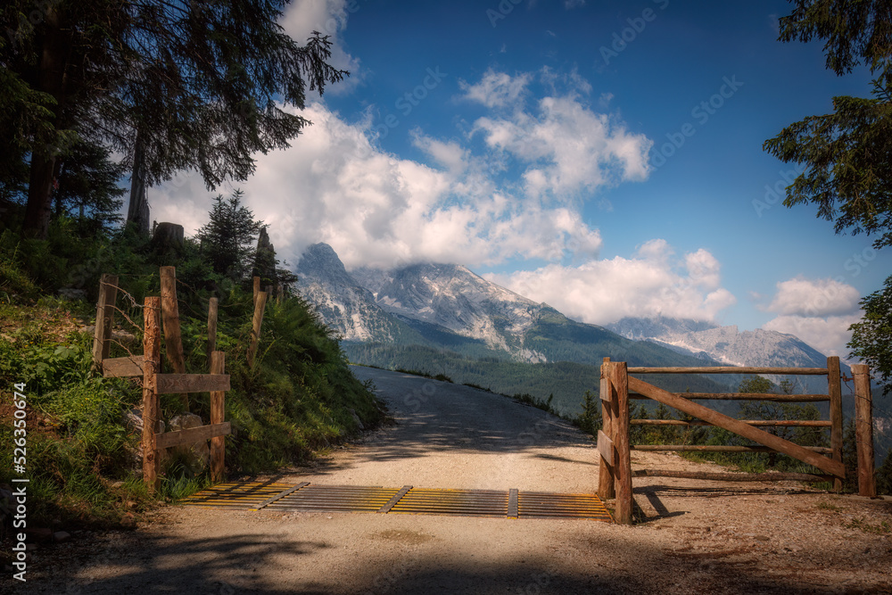 Hochbahnweg, Königsbachweg, Wandern auf dem Jenner in den ...