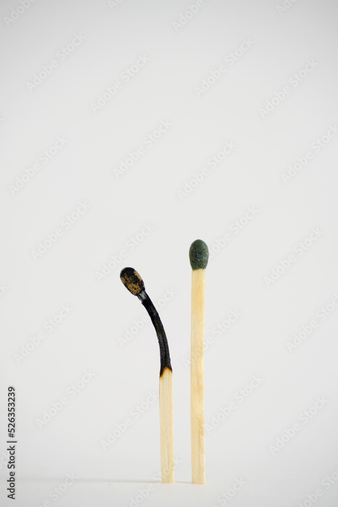 Standing burnt out and whole match on light background, concept old age ...