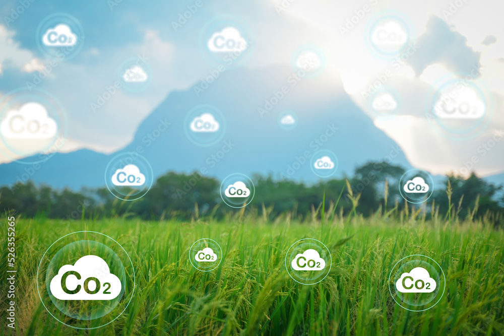 Net Zero, co2 and Carbon Neutral Concepts Net Zero Emissions Goals ...