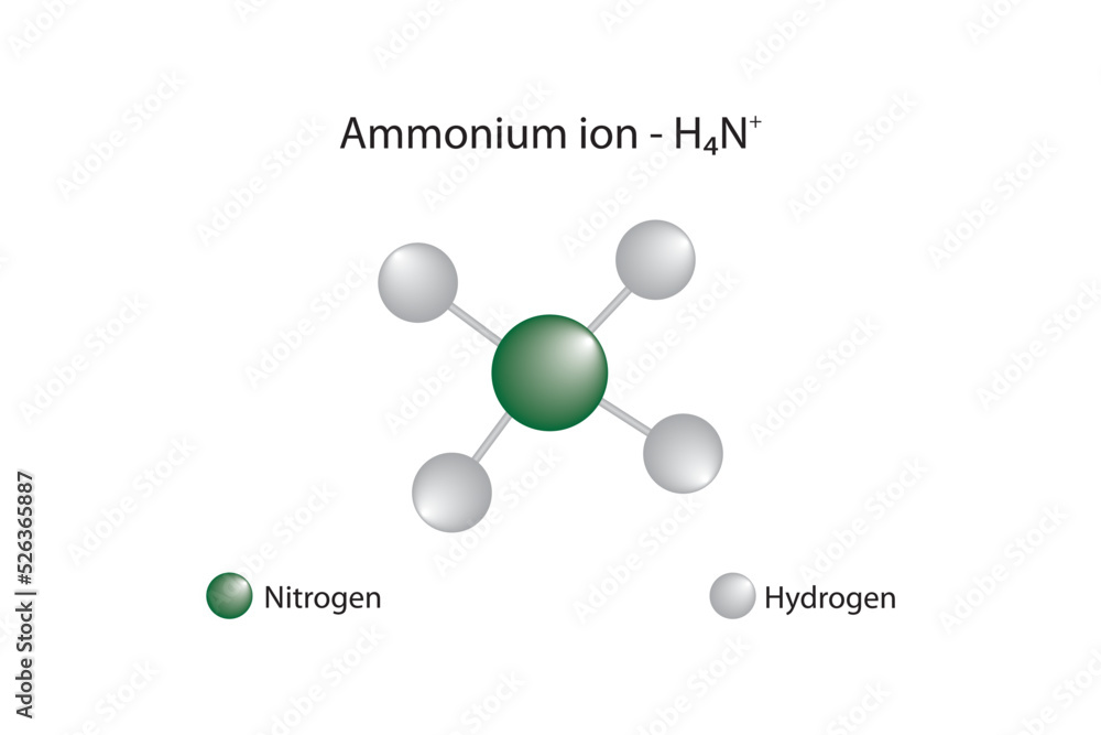 Molecular formula and chemical structure of ammonium ion Stock Vector ...