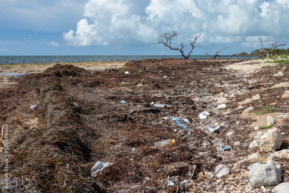 Litter, plastic bottles and seaweed damage covering a beach at Bahia ...