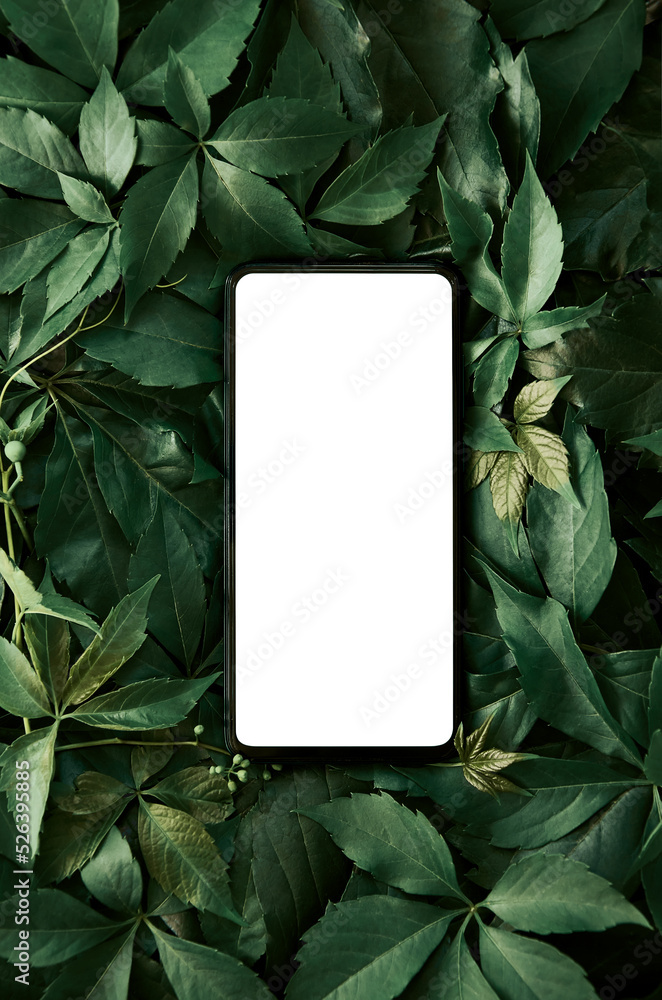 White empty mobile phone screen template mockup for product app ads on ...