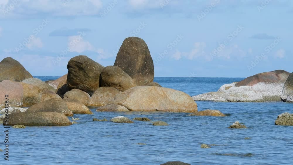 Dead coral stones on water surface background. Calcic skeleton of reef ...