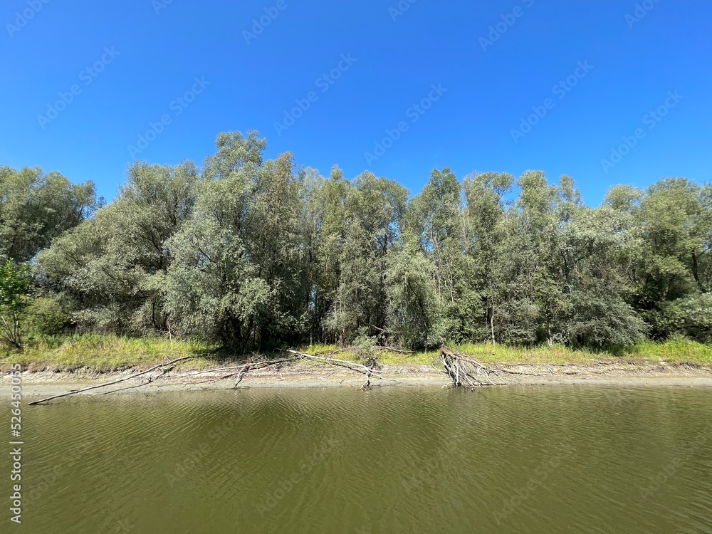 Lake Veliki Sakadas and floodplain forests, Kopacki rit Nature Park ...