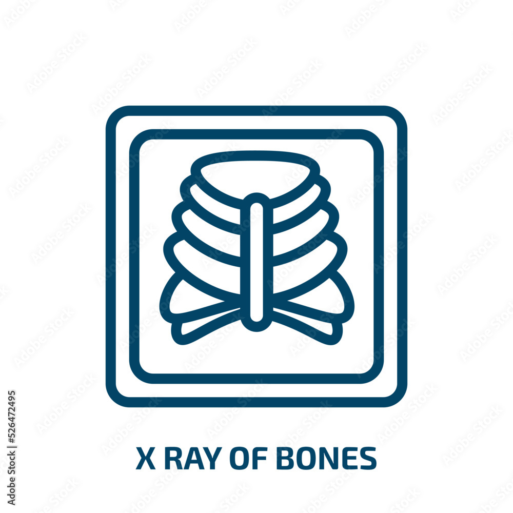 x ray of bones icon from medical collection. Thin linear x ray of bones ...