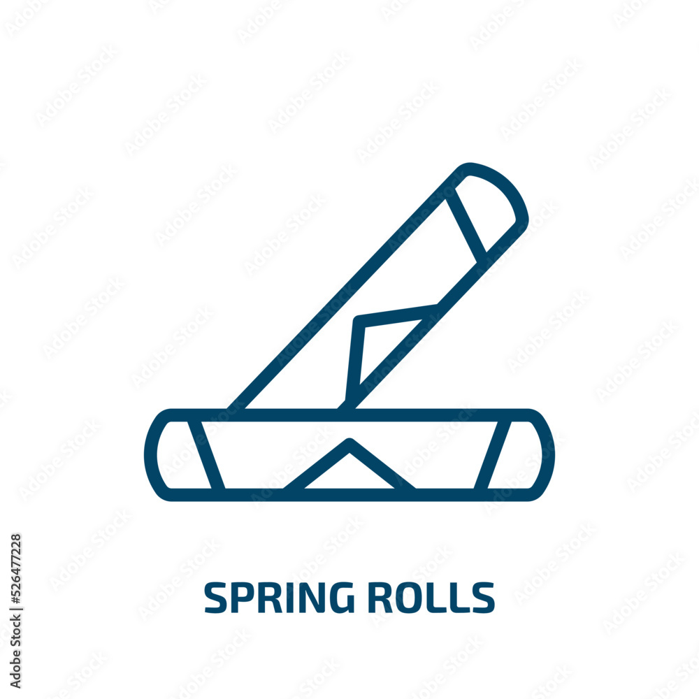 spring rolls icon from culture collection. Thin linear spring rolls ...