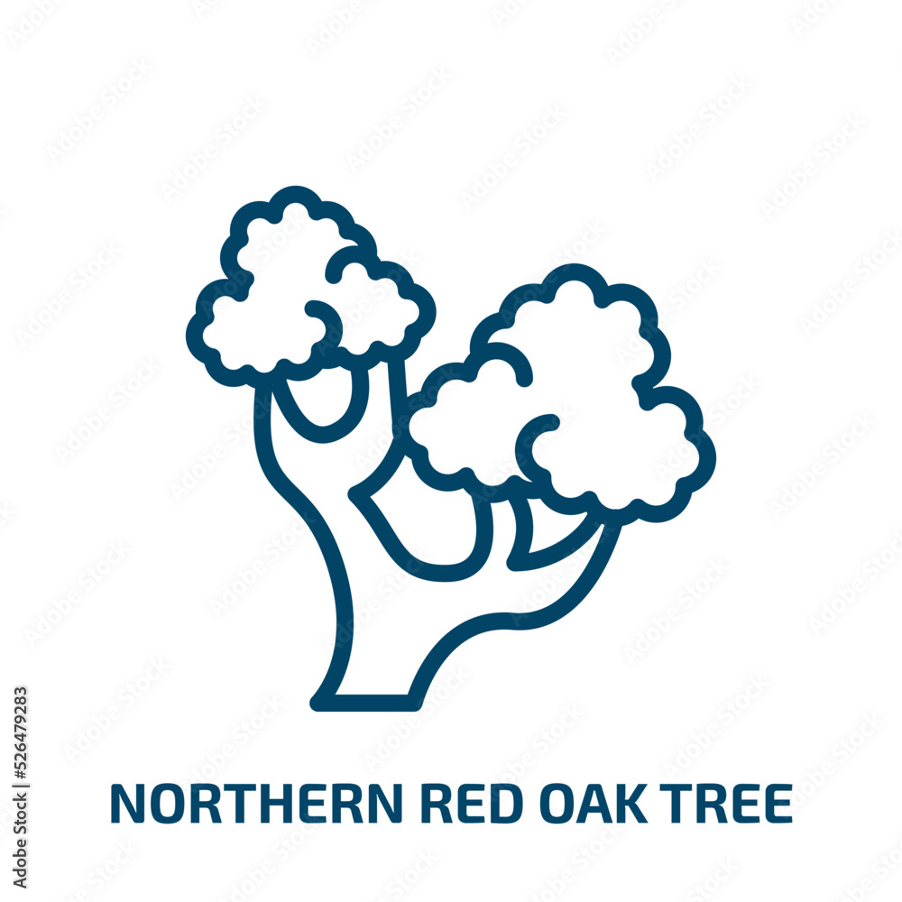northern red oak tree icon from nature collection. Thin linear northern ...