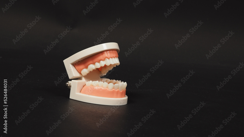 Orthodontic model of teeth isolated on black background.For dental care ...