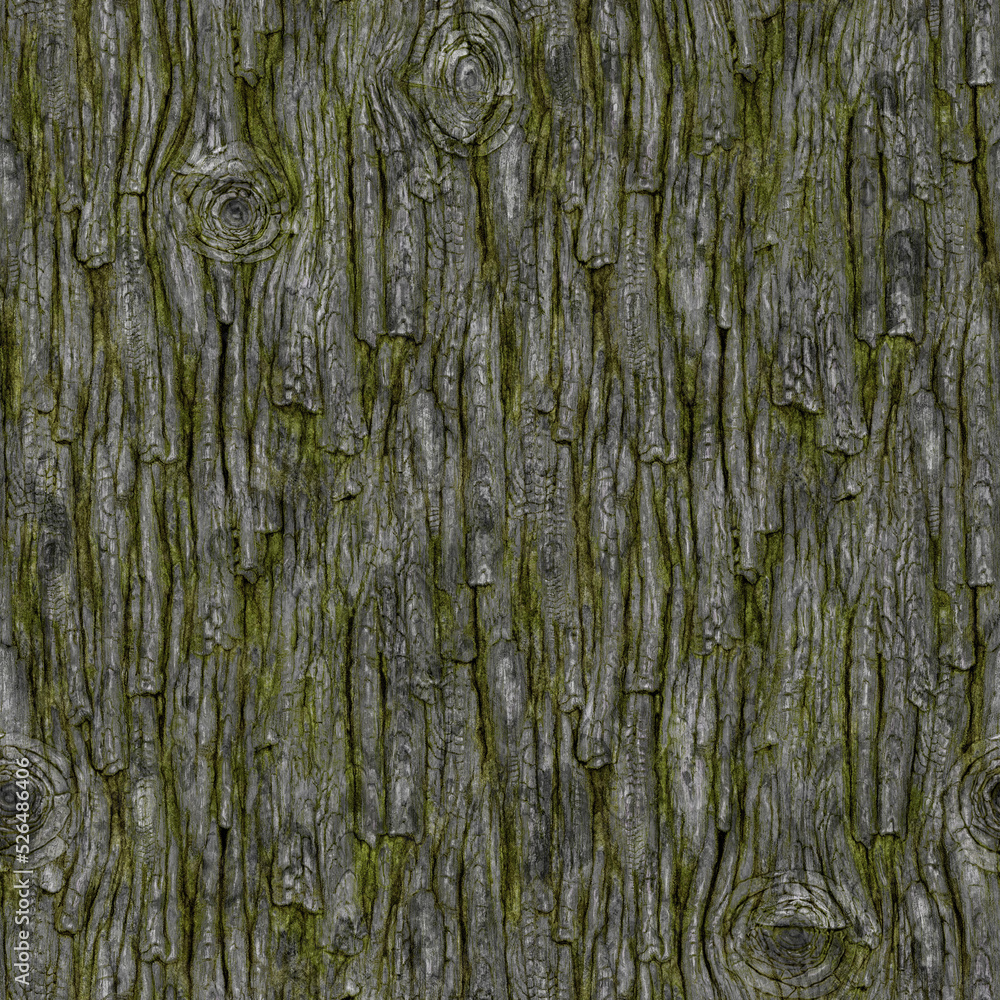 Tree Moss Texture