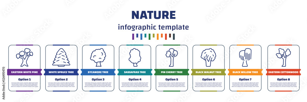 infographic template with icons and 8 options or steps. infographic for ...