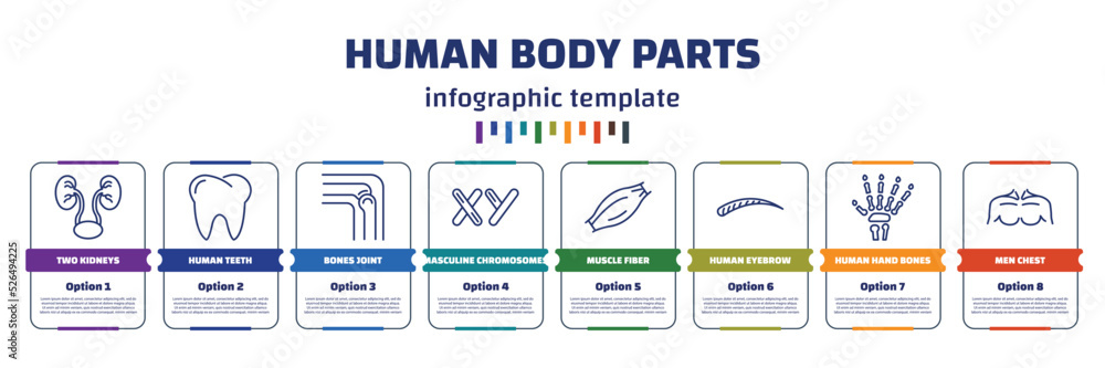 infographic template with icons and 8 options or steps. infographic for ...