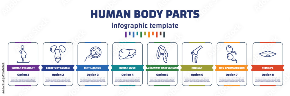 infographic template with icons and 8 options or steps. infographic for ...