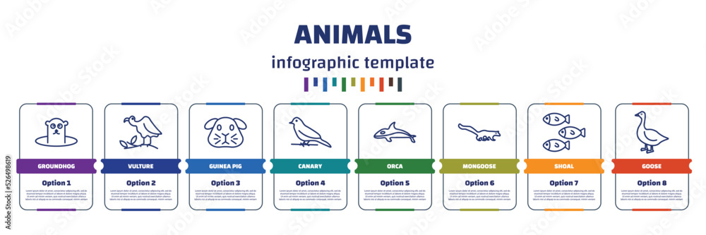 infographic template with icons and 8 options or steps. infographic for ...