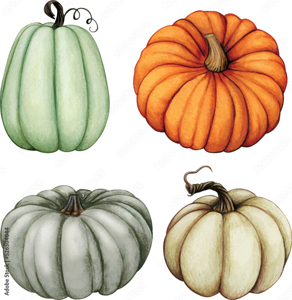 Watercolor hand drawn realistic pumpkin set Stock Vector | Adobe Stock