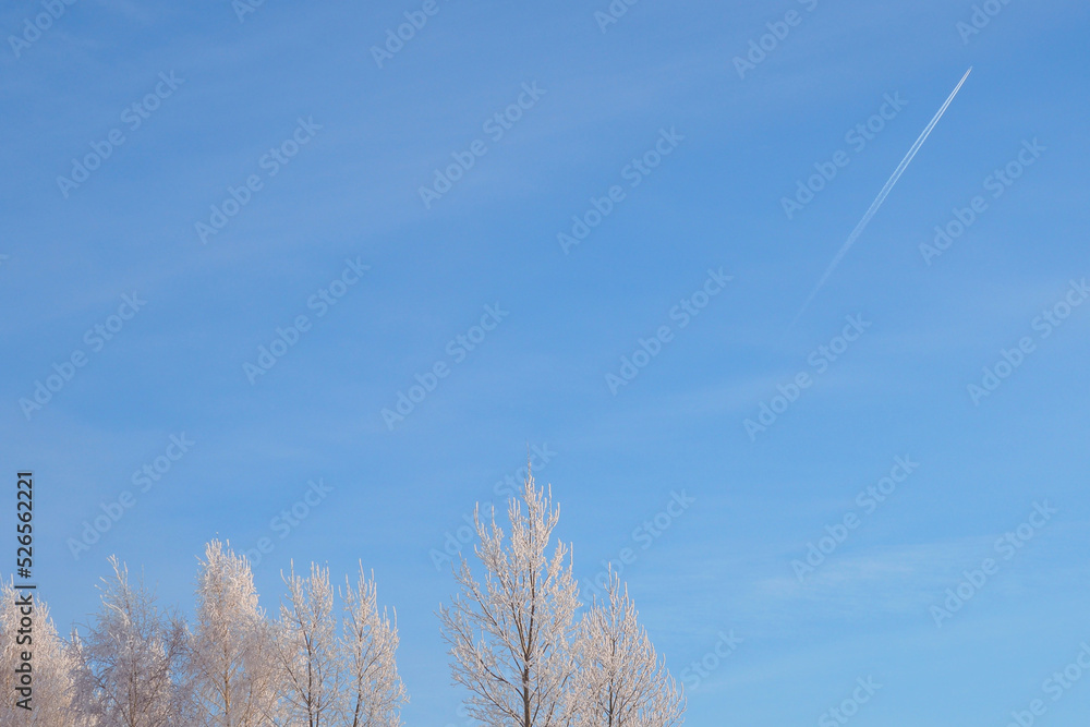Blue sky with light clouds. Birch trees covered with snow and ...