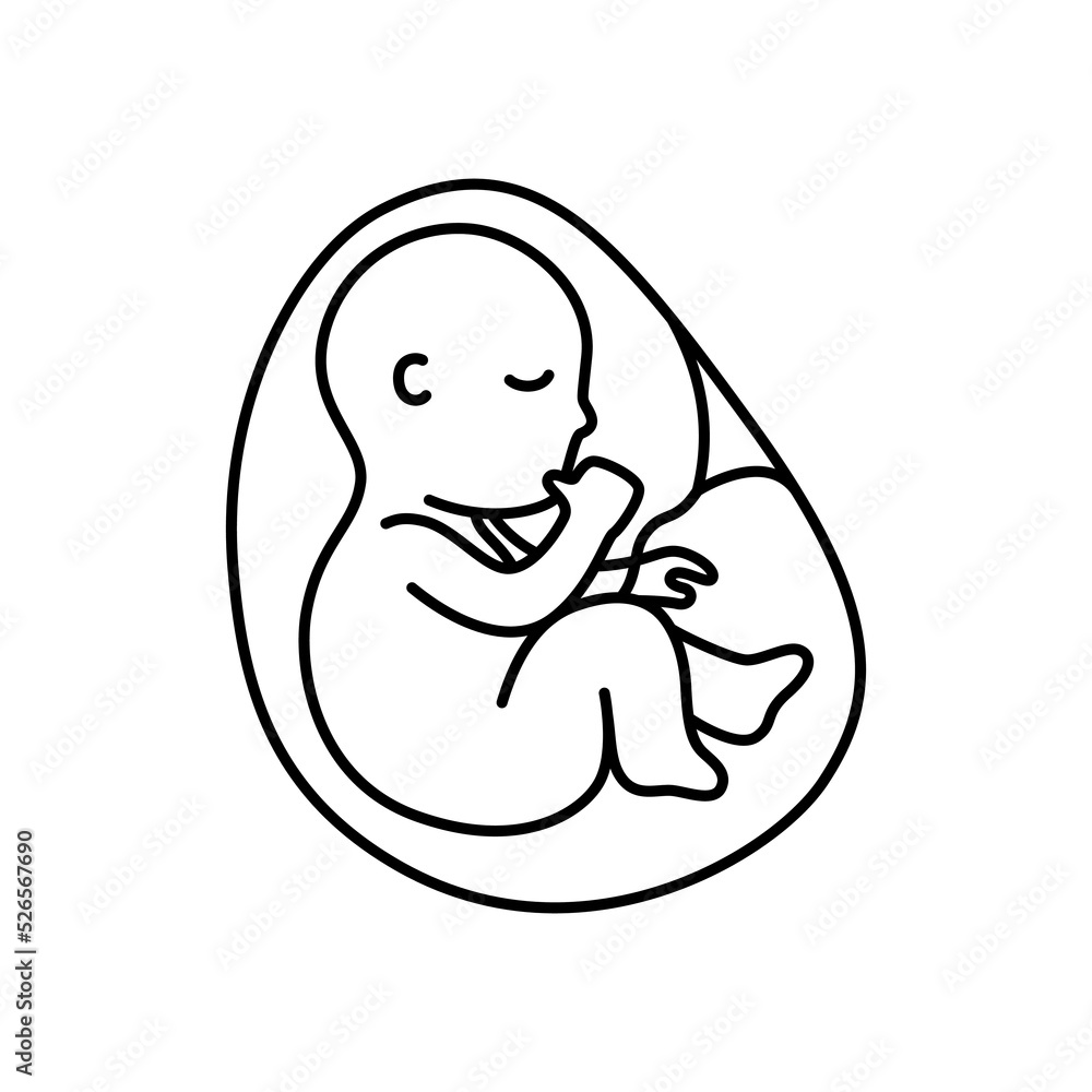 Cute fetal baby in womb icon outline style with editable stroke vector ...