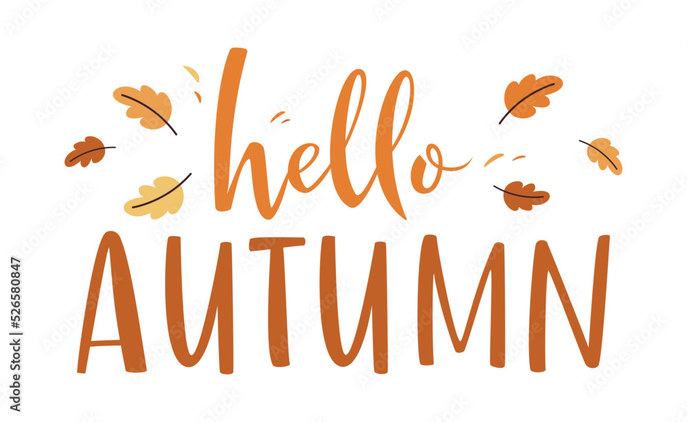 Hello Autumn hand drawn lettering text with splash and leaves ...