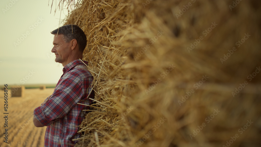 Man rest hay stack at agricultural field. Farmer lean dry wheat pile on ...