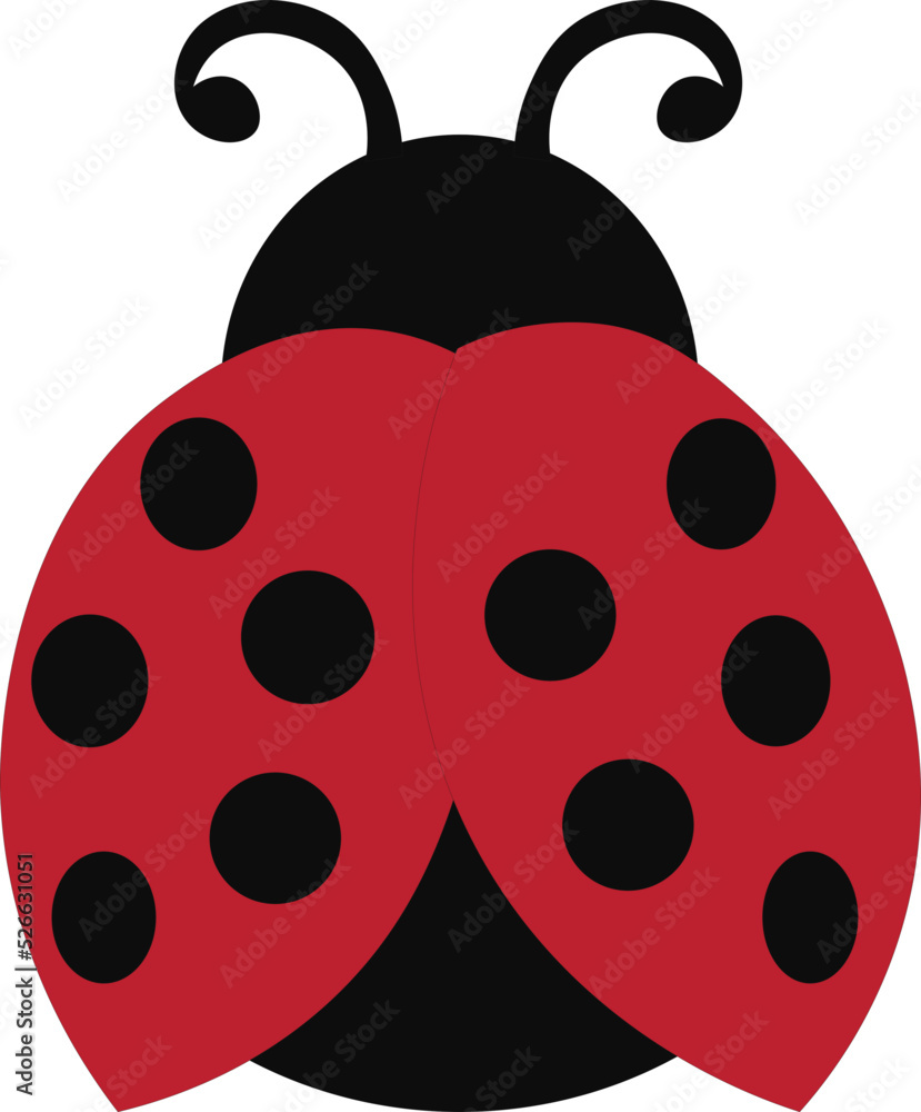 ladybug Stock Vector | Adobe Stock