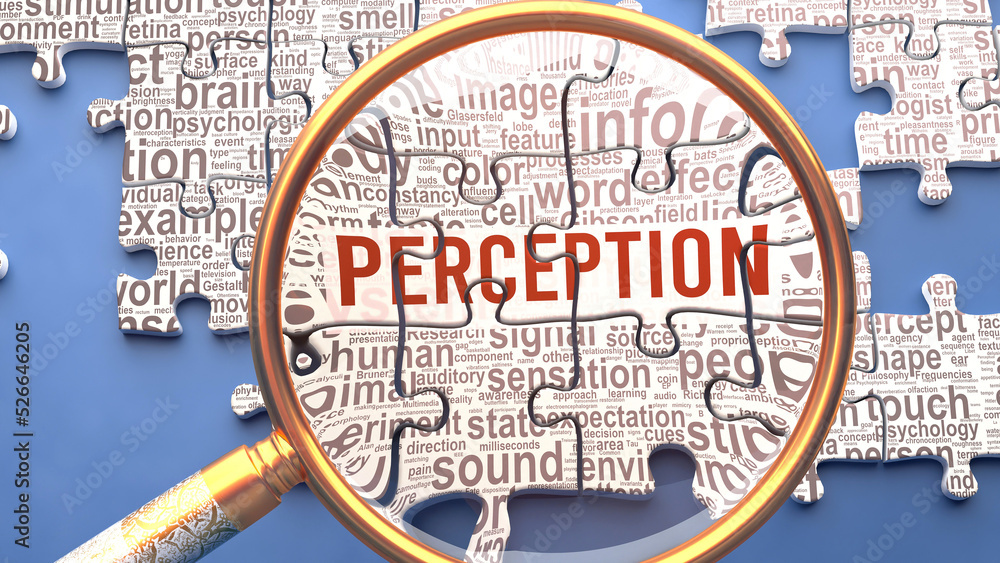 Perception as a complex and multipart topic under close inspection ...