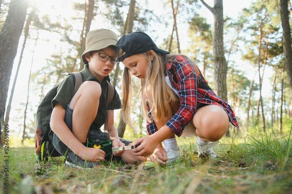 Kids exploring nature with magnifying glass. Summer activity for ...