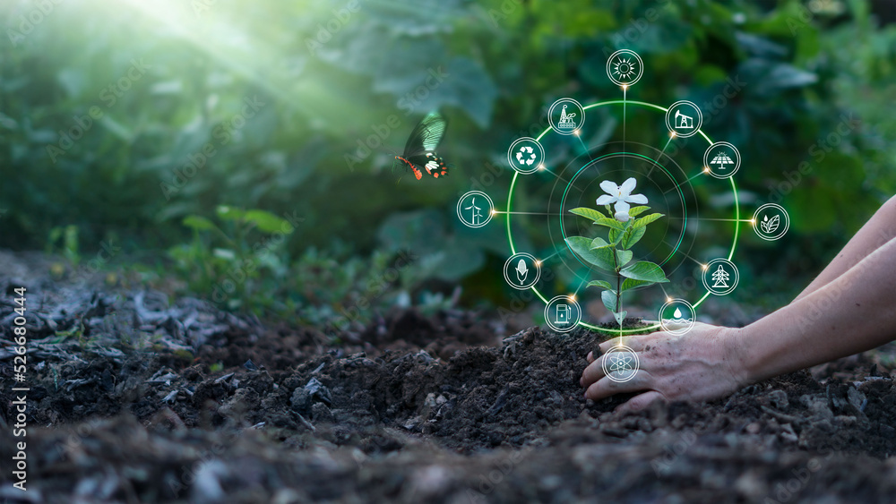 .Sustainable development goals of promote clean energy. Renewable ...