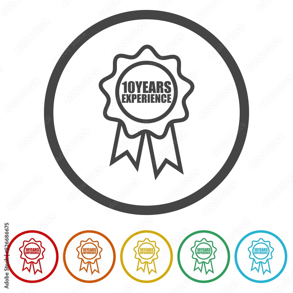 Ten years experience icon. Set icons in color circle buttons Stock ...