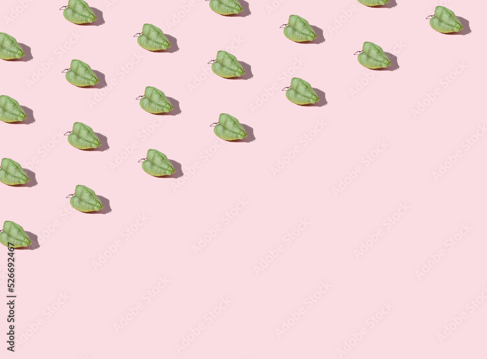 Natural pattern with golder rain tree seed shells in green color on ...