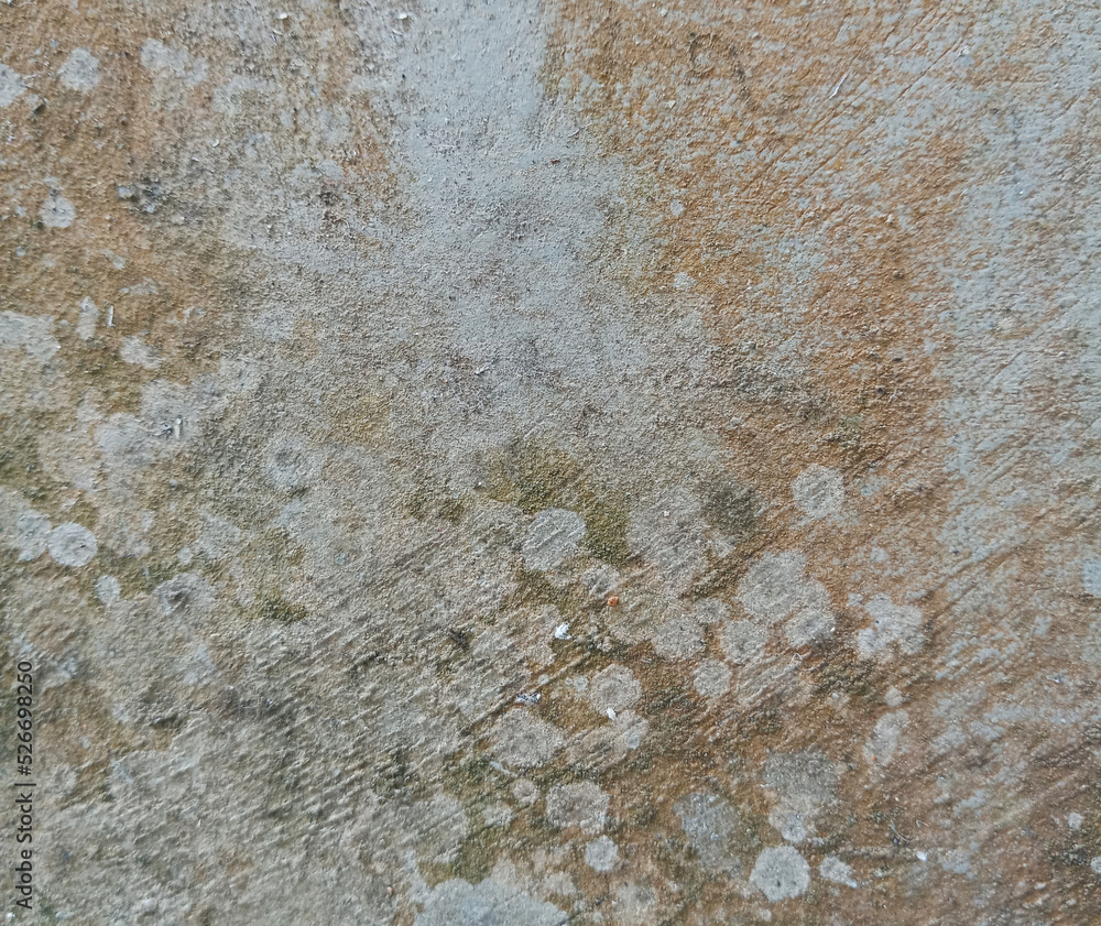 Mossy walls are suitable for your preferred texture for 3d matrial or ...