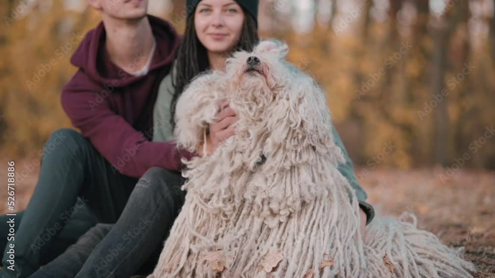 Couple Spending Leisure With Dog. Young happy couple petting their pet ...