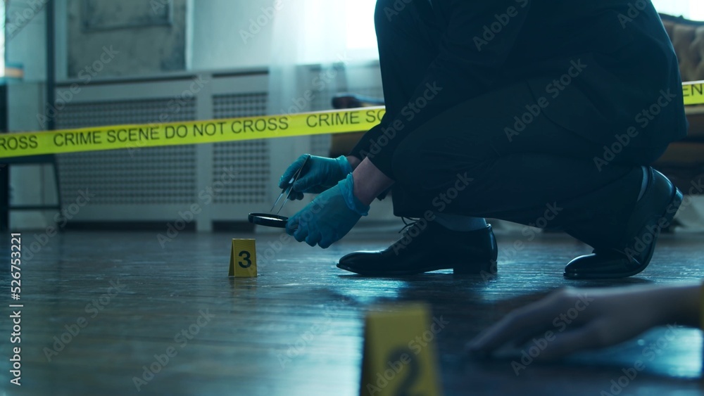 Detective Collecting Evidence in a Crime Scene. Forensic Specialists ...