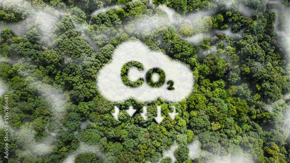 CO2 white fog, concept showing the problem of carbon dioxide and CO2 ...