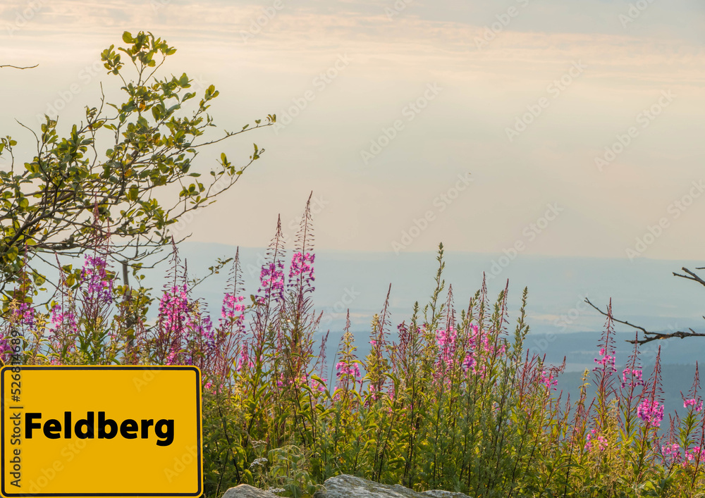 Feldberg Hessen Stock-Foto | Adobe Stock