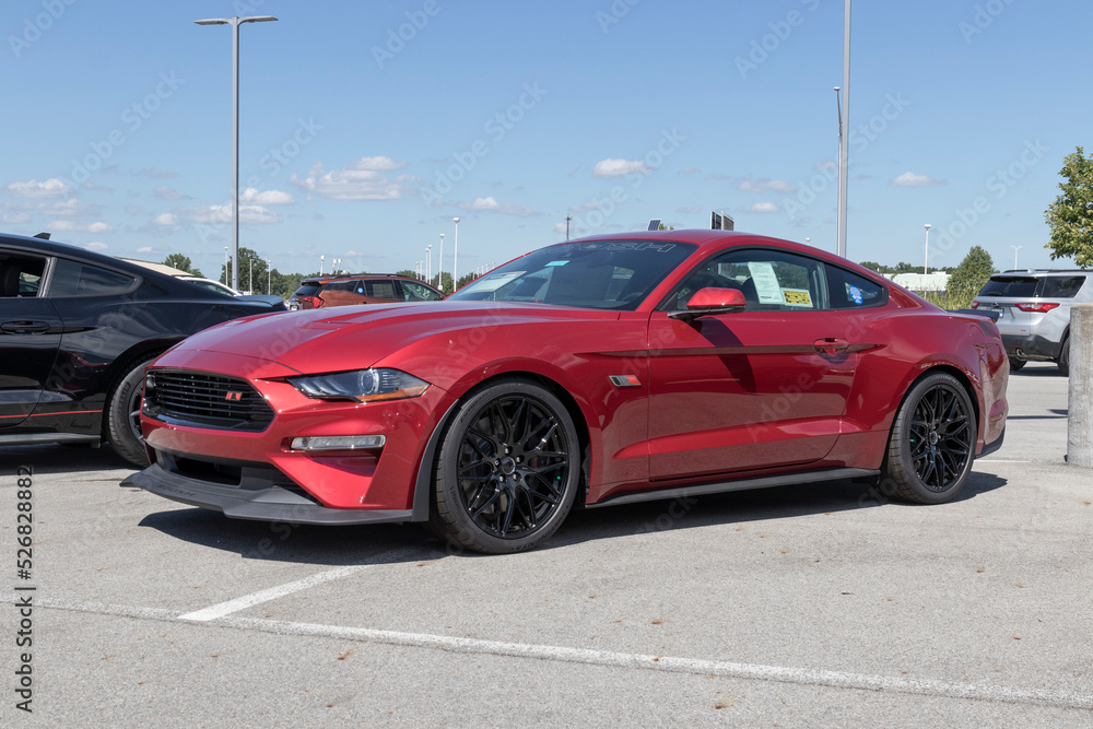 Ford Roush Mustang display at a dealership. Ford Roush Edition Mustang ...