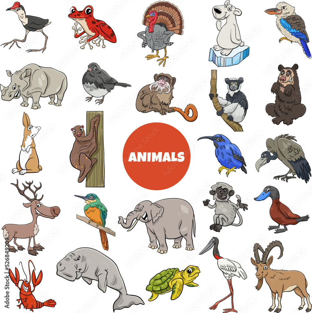 cartoon wild animal species characters big set Stock Vector | Adobe Stock