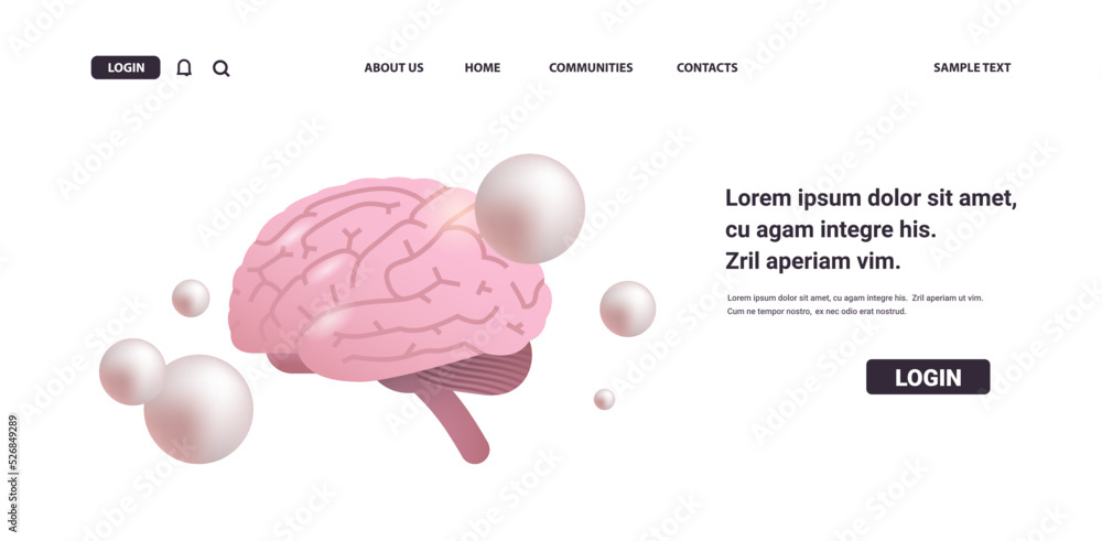 anatomical brain icon human body internal organ anatomy medicine ...