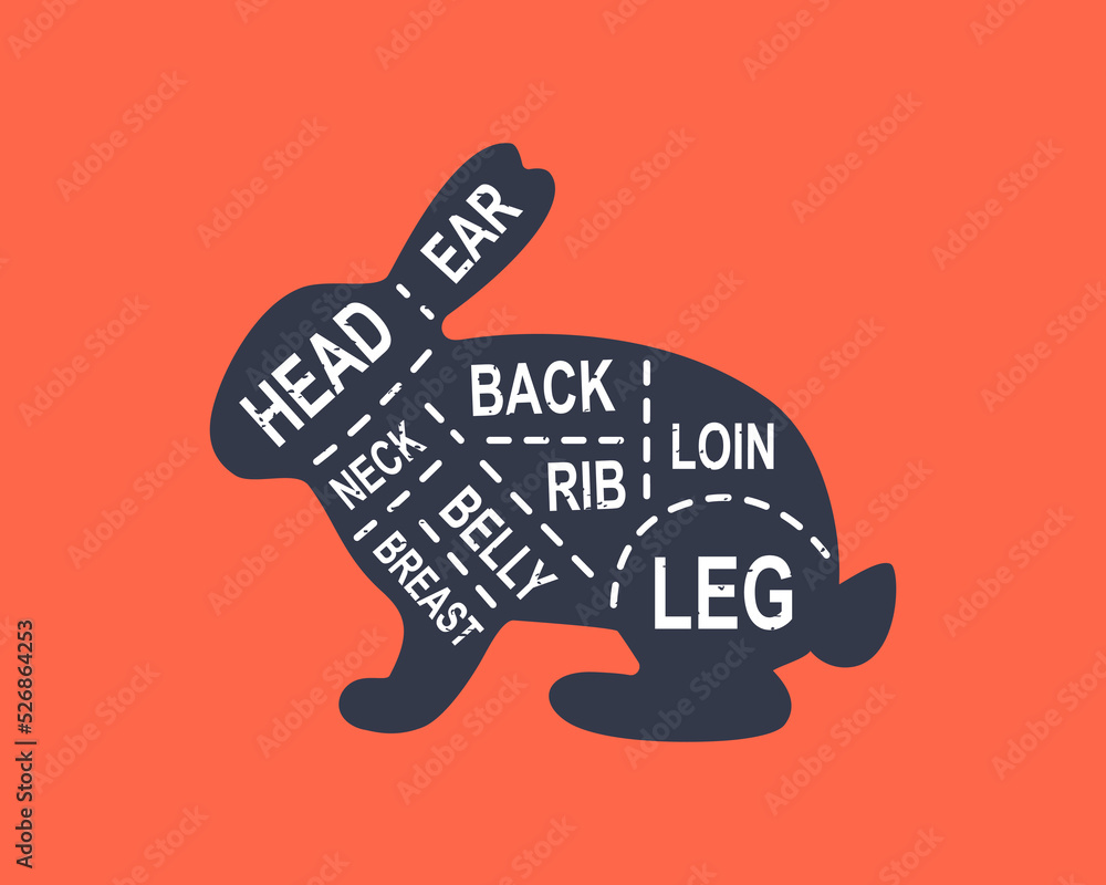 Rabbit diagram cuts. Butcher scheme poster. Cuts of rabbit meat. Meat ...