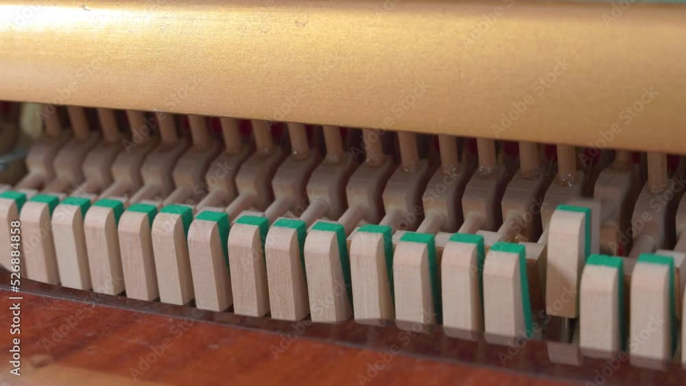 Piano hammers strike the strings one by one. The internal mechanism of ...