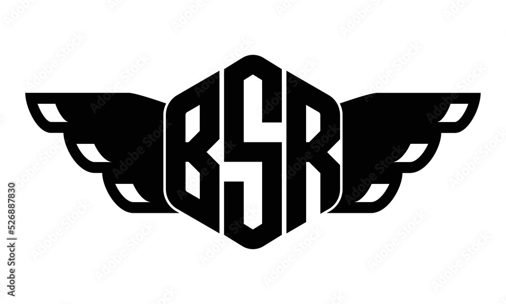 Vecteur Stock BSR three-letter butterfly iconic logo design vector ...