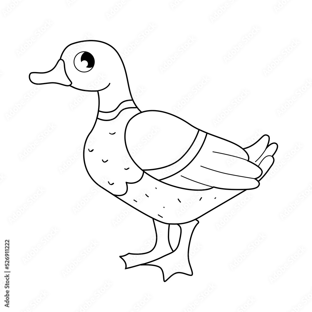Vector outline illustration of cartoon cute duck isolated on white ...